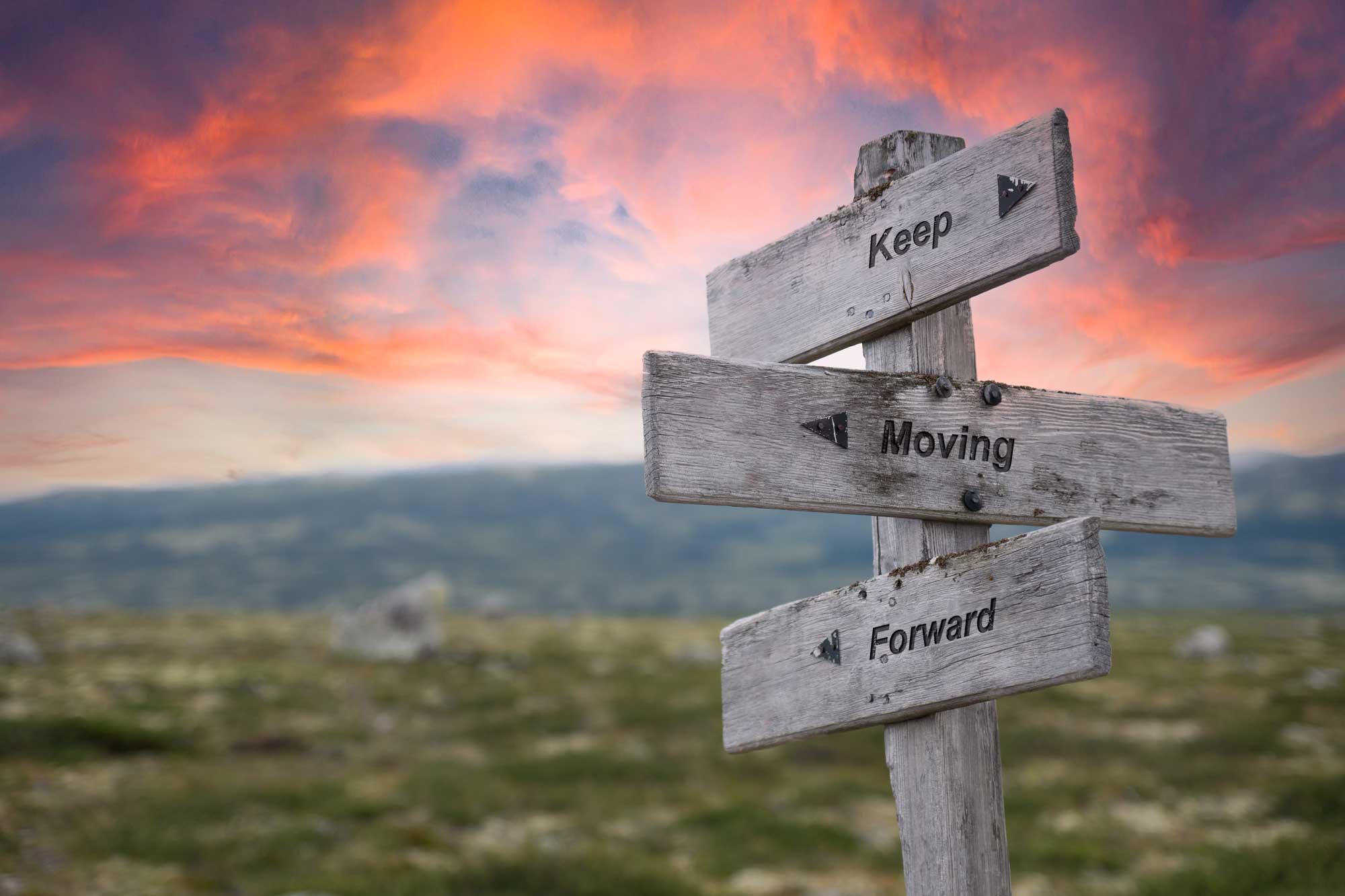 My Career Journey: The Ups, Downs, and Military Life’s Role - ASYMCA ...